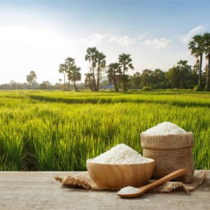 Home - Ramajeyam Rice